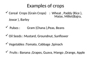 Crop Production and Management part 1.ppt