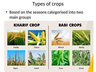 Crop Production and Management part 1.ppt