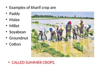 Crop Production and Management part 1.ppt