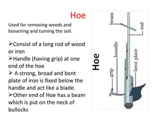 Crop Production and Management part 2.ppt