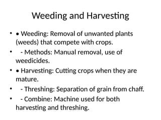 Crop_Production_and_Management_Presentation.pptx | Agriculture | Industries