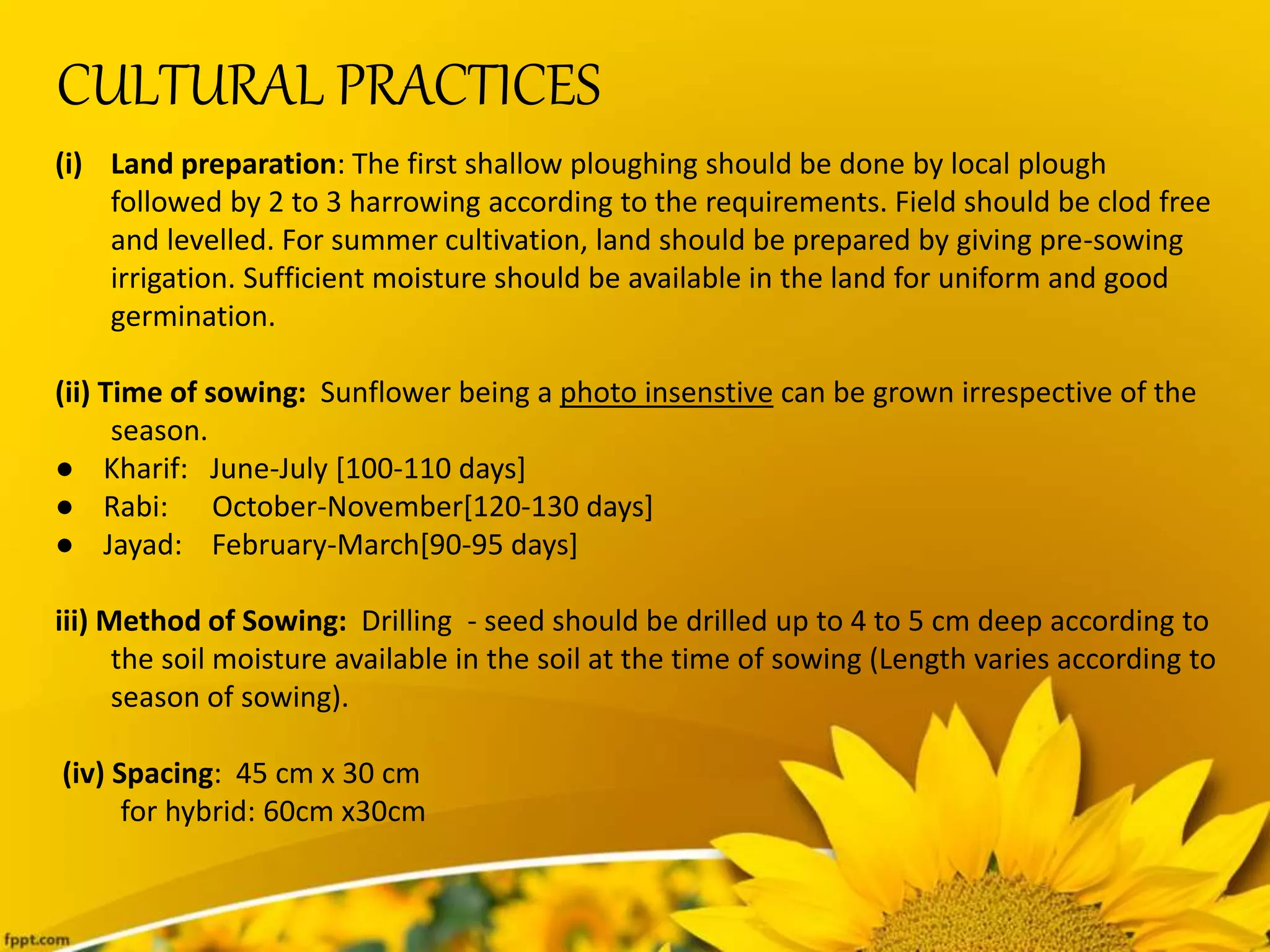 CROP PRODUCTION BK.pptx