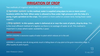 Crop production & its management | PPTX