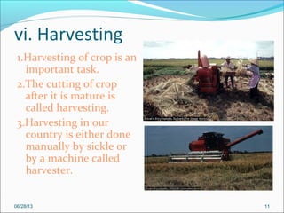 Crop production&magement | PPT