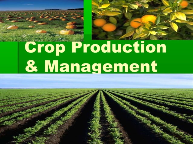 crop production & management.pptx | Agriculture | Industries