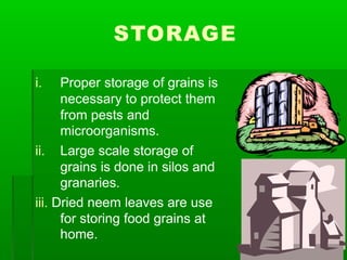 crop production & management.pptx