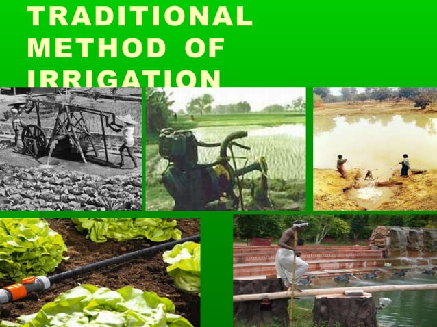 crop production & management.pptx | Agriculture | Industries