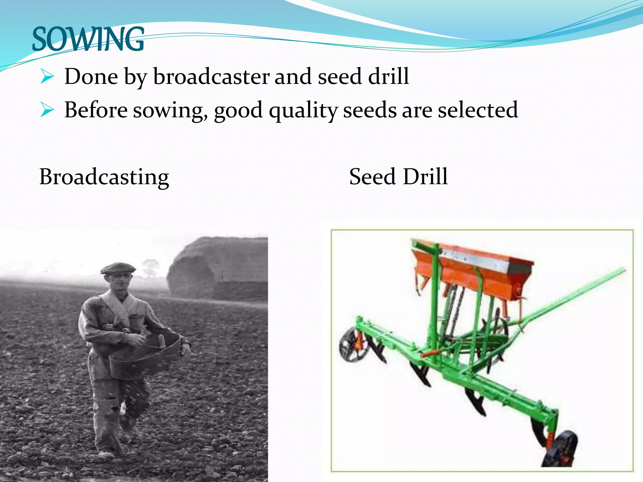Crop production ppt | PPTX
