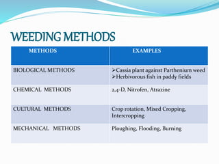 Crop production ppt | PPTX