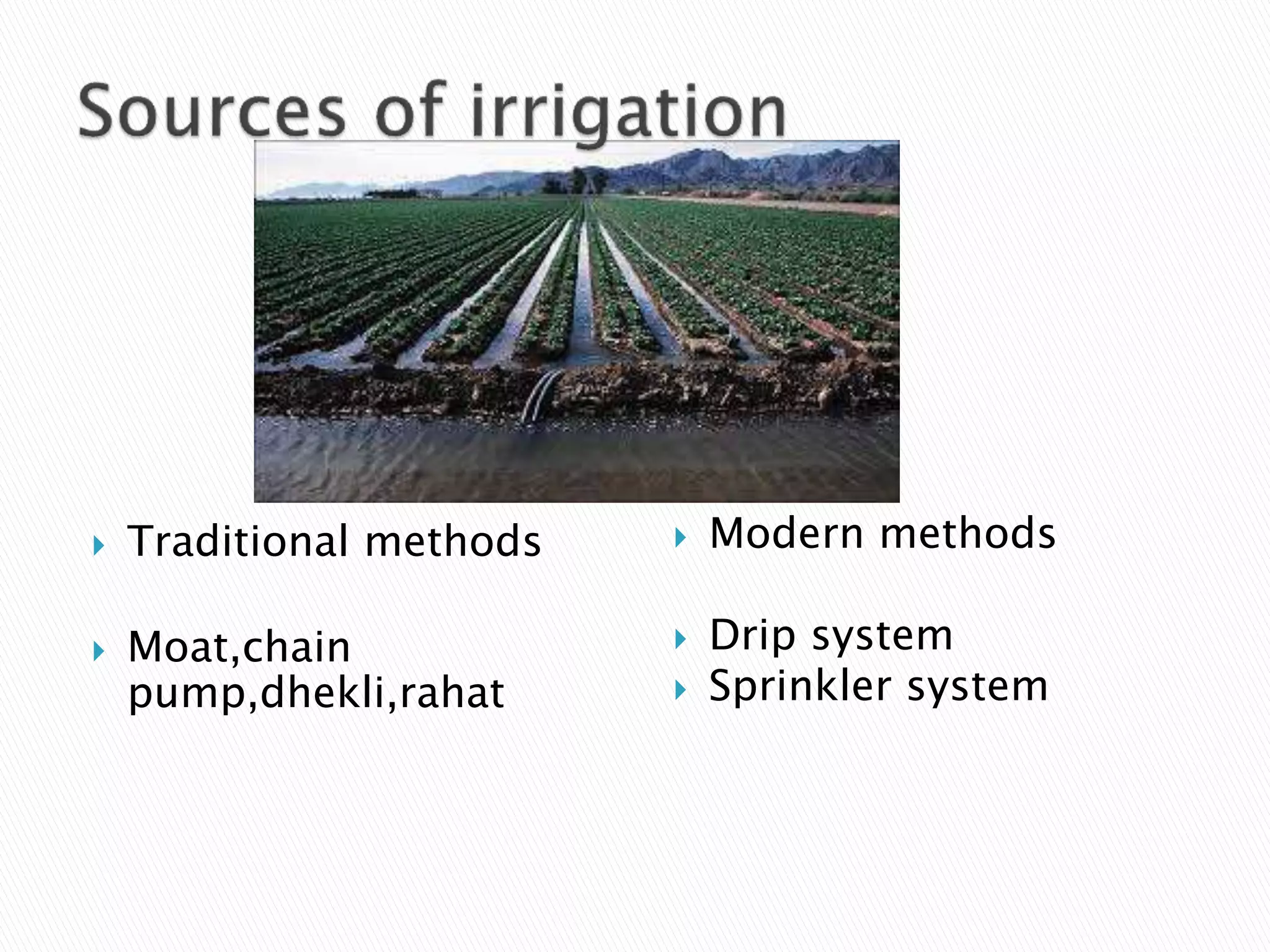 crop production ppt.pptx