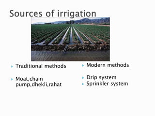 crop production ppt.pptx