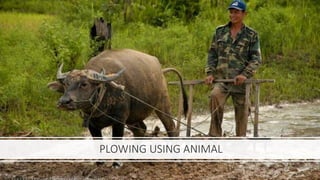 crop production quiz lesson 2.pptx