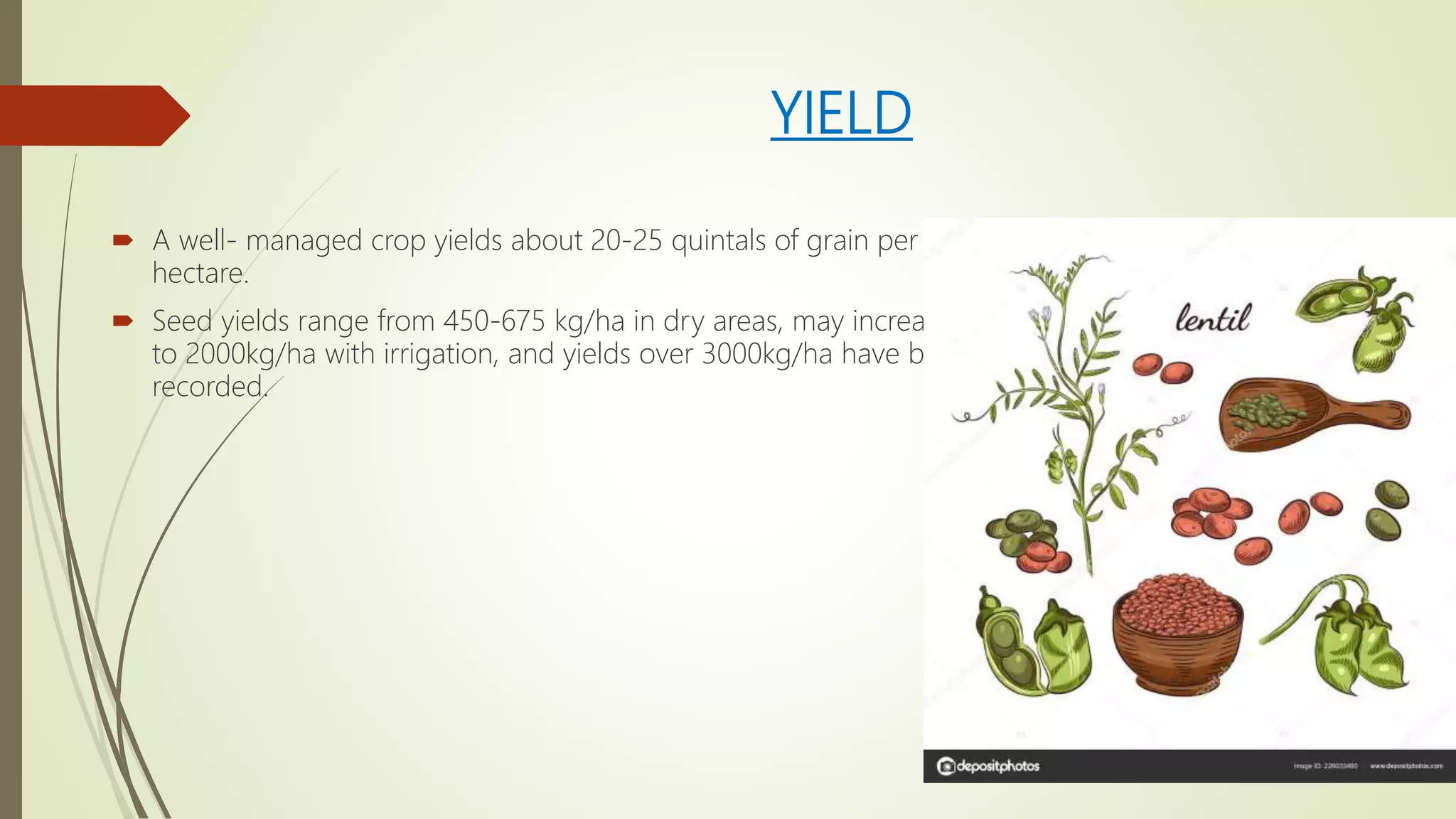 Crop Production Technology-II Lentils.pptx