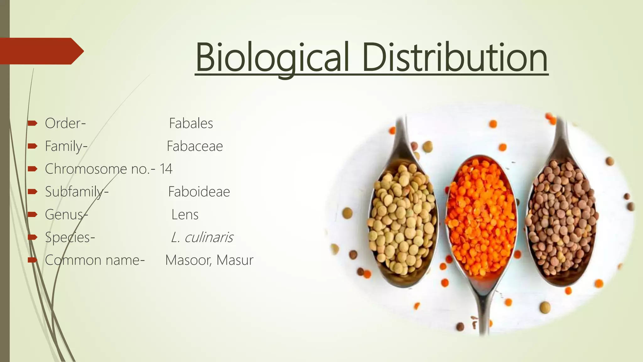 Crop Production Technology-II Lentils.pptx