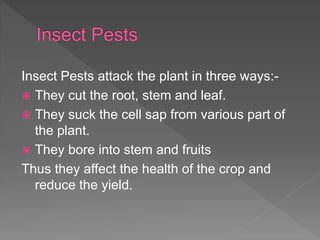 Crop protection | PPTX