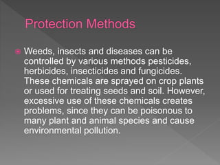 Crop protection | PPTX