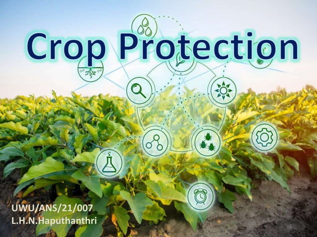 Crop protection and pest management and pesticides | PPT