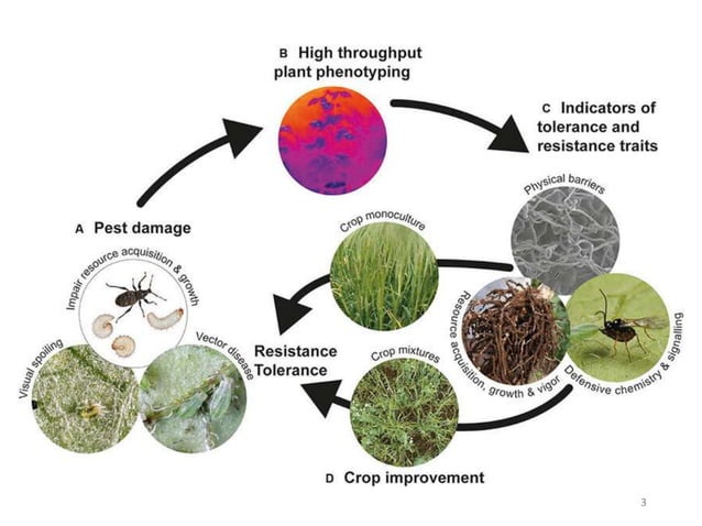 Crop protection and pest management and pesticides | PPTX | Agriculture ...