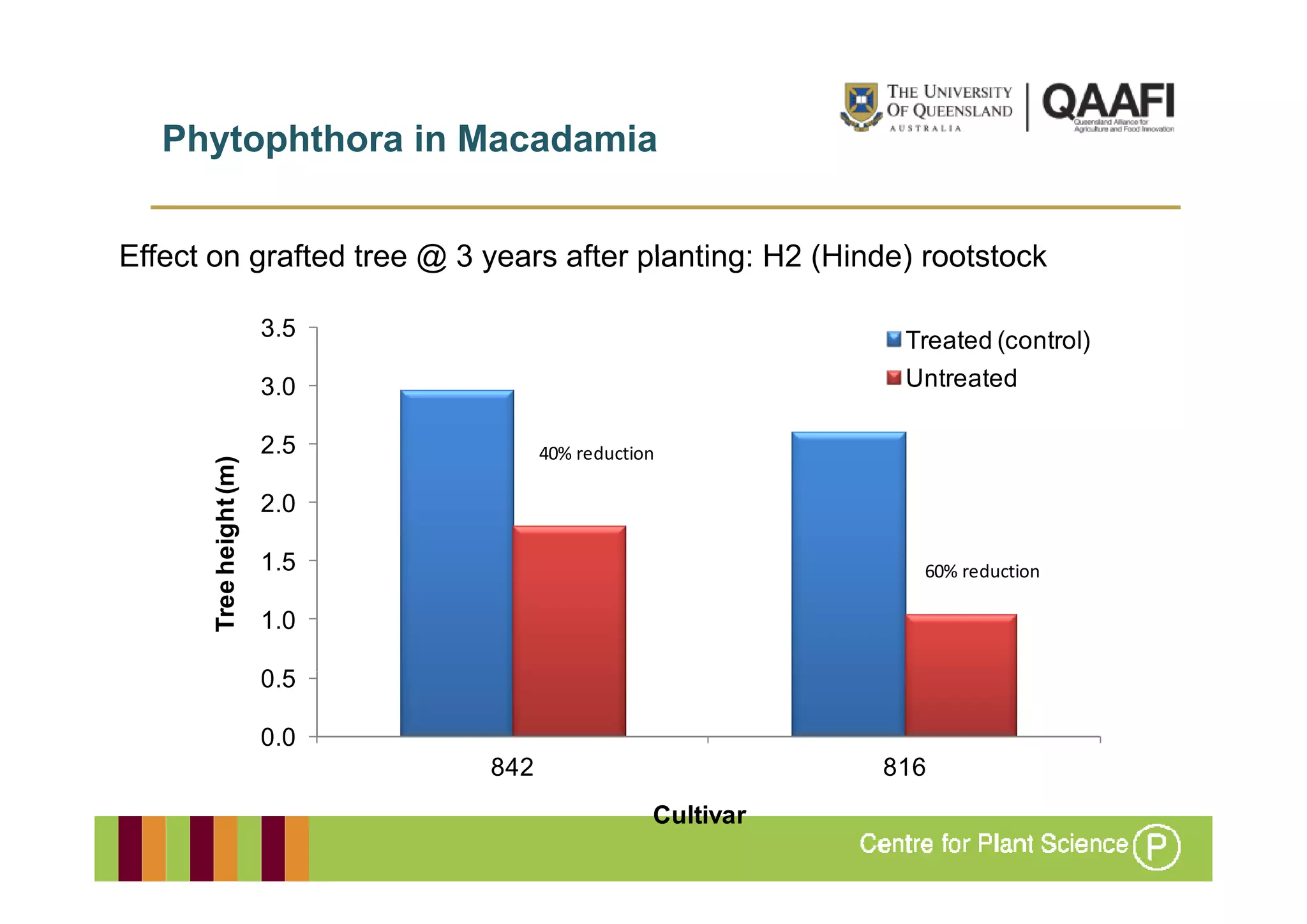 Crop protection phytophthora management in macadamia production - femi ...