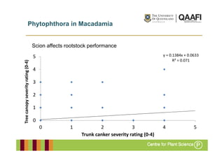 Crop protection phytophthora management in macadamia production - femi ...