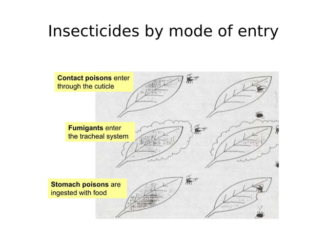 Crop protection against_pest_insect_ | PDF