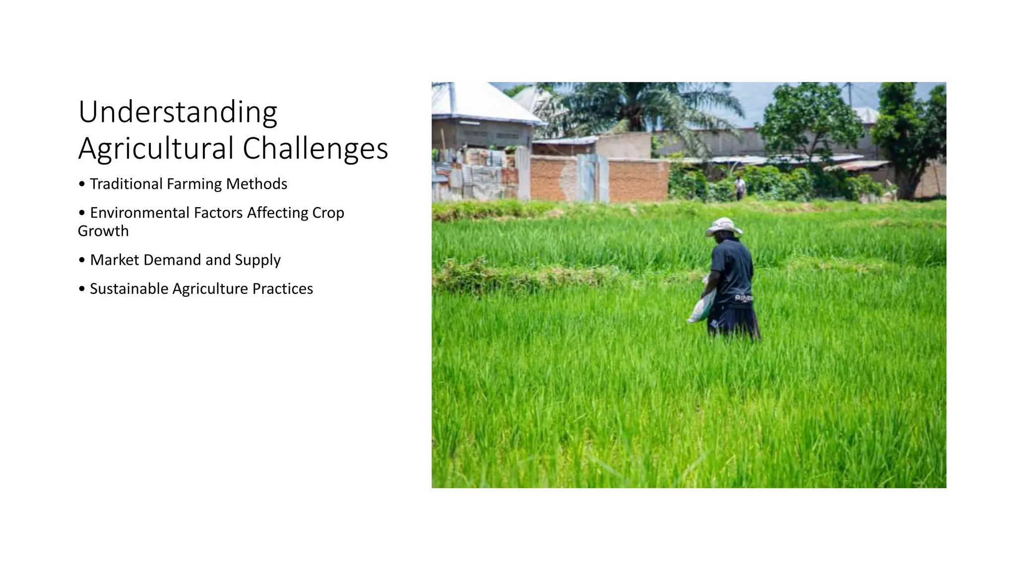 Crop Recommendation System Using Machine Learning and HTML.pptx