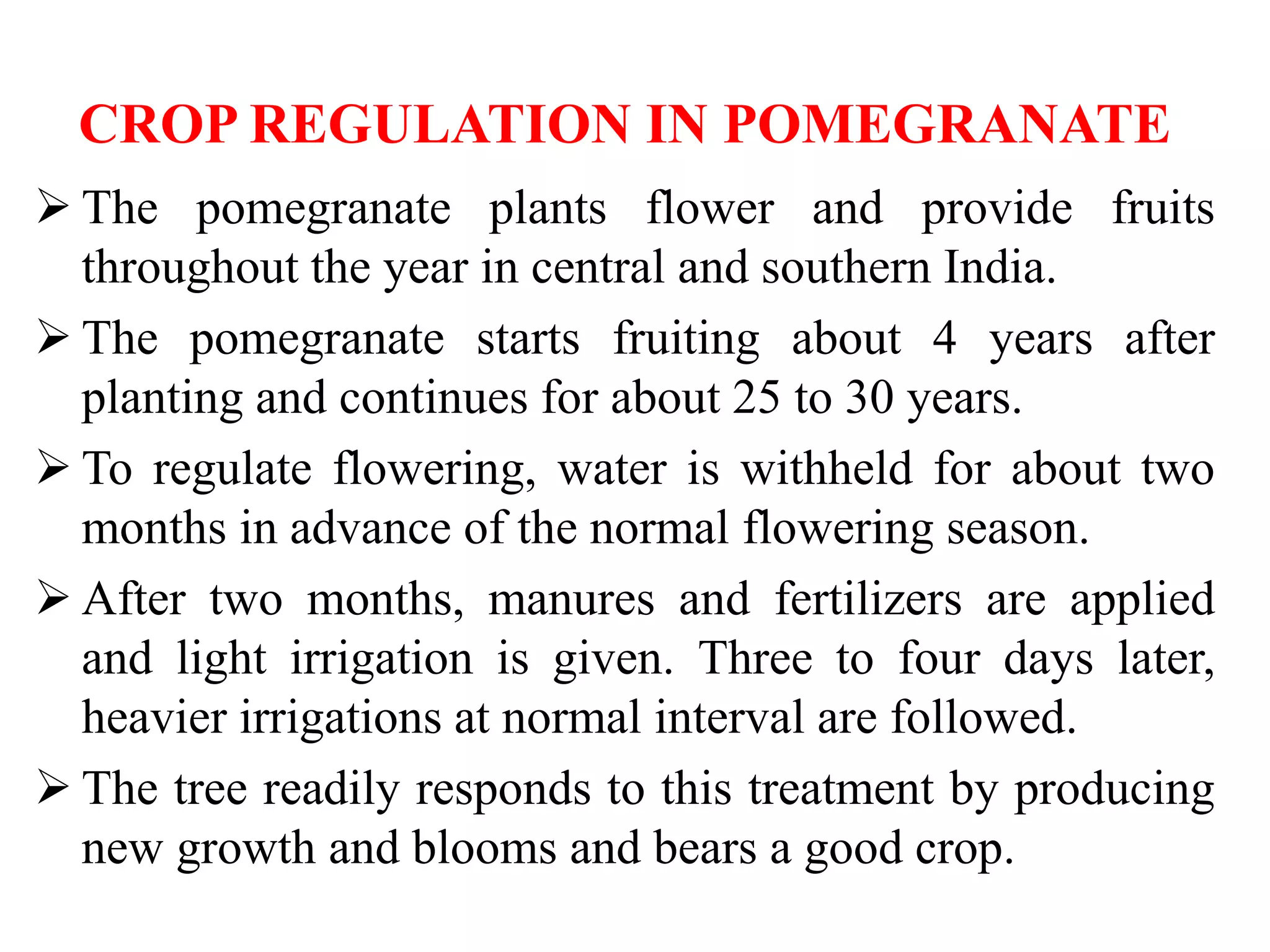 Crop regulation and off season fruit production | PPTX