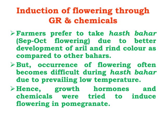 Crop regulation and off season fruit production | PPTX