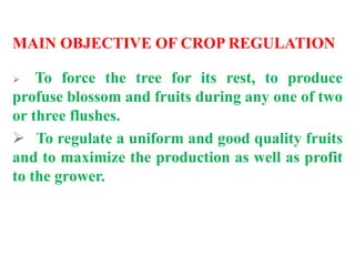Crop regulation and off season fruit production | PPTX