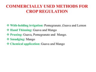 Crop regulation and off season fruit production | PPTX