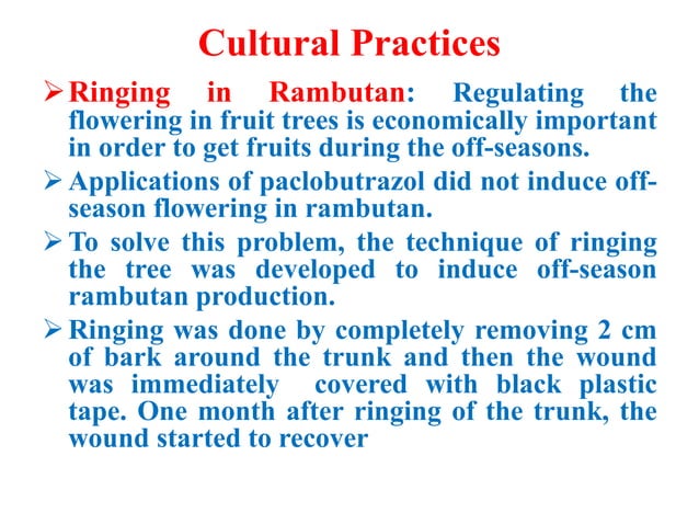 Crop regulation and off season fruit production | PPTX