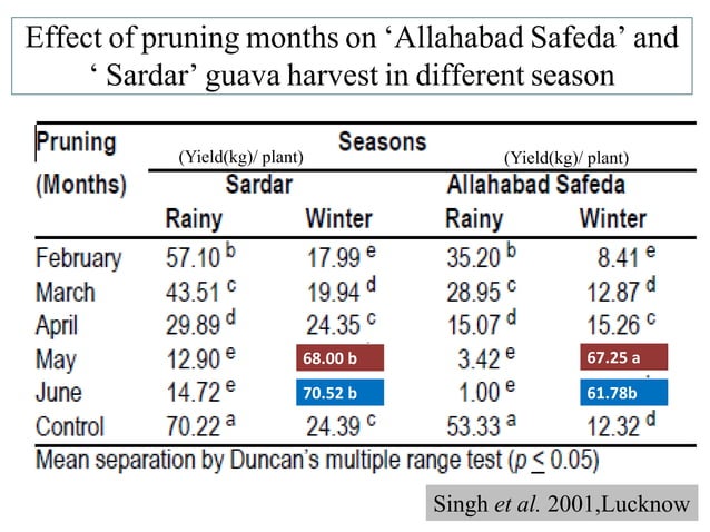 Crop regulation and off season fruit production | PPTX
