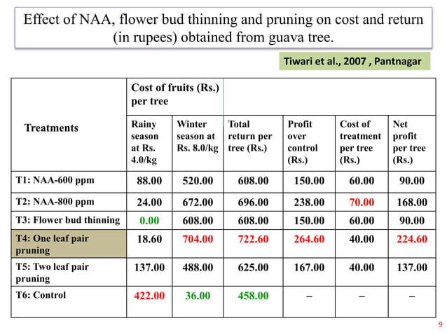 Crop regulation and off season fruit production | PPTX