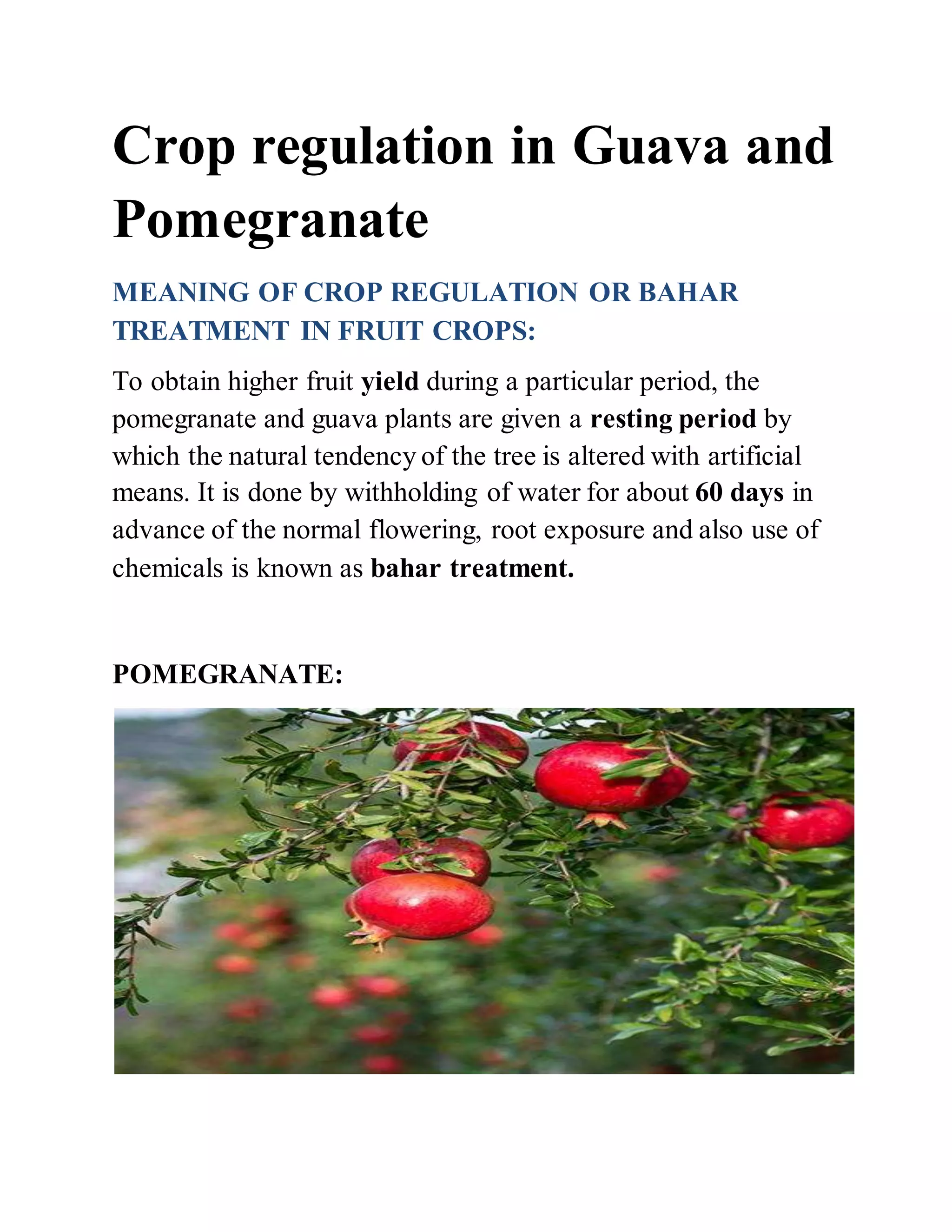 Crop regulation in guava and pomegranate | DOCX