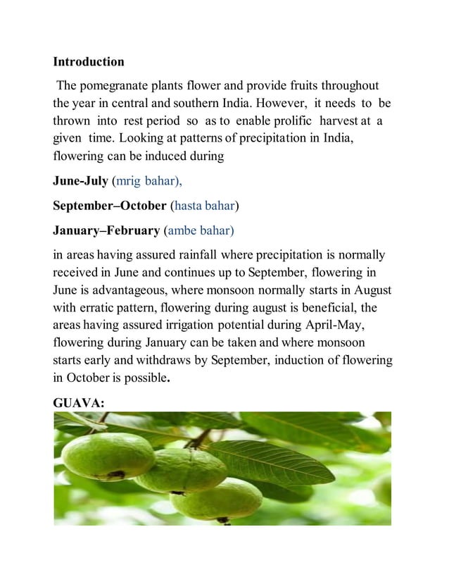 Crop regulation in guava and pomegranate | DOCX | Agriculture | Industries