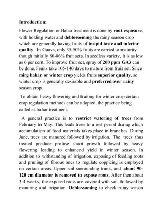 Crop regulation in guava and pomegranate | DOCX