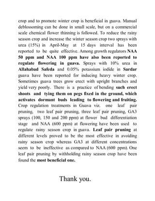 Crop regulation in guava and pomegranate | DOCX