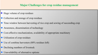 Strategies for Organic Waste Management in Rice – Wheat Cropping System | PPTX