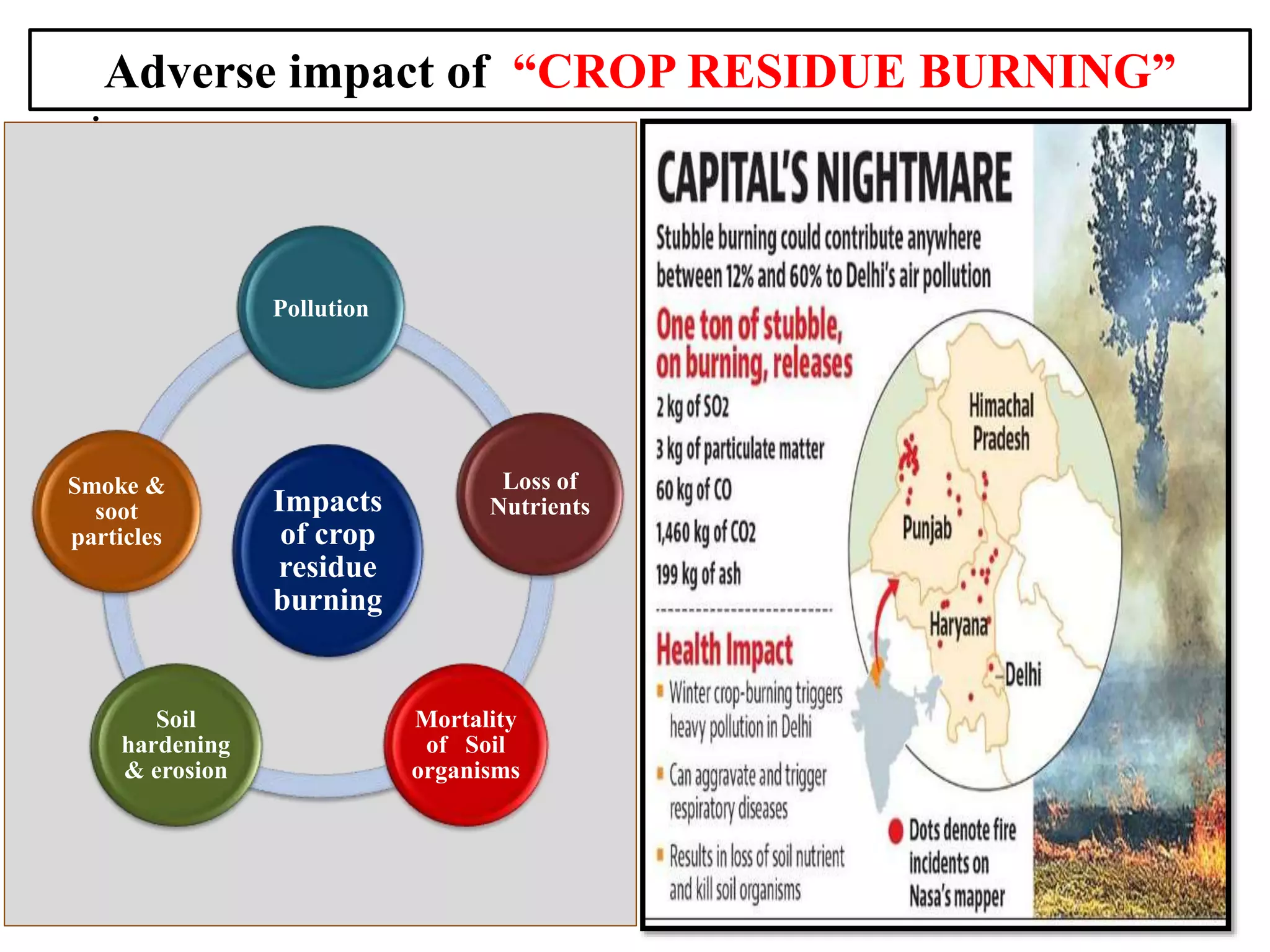 CROP RESIDUE MANAGEMENT IN Major cropping system.pptx