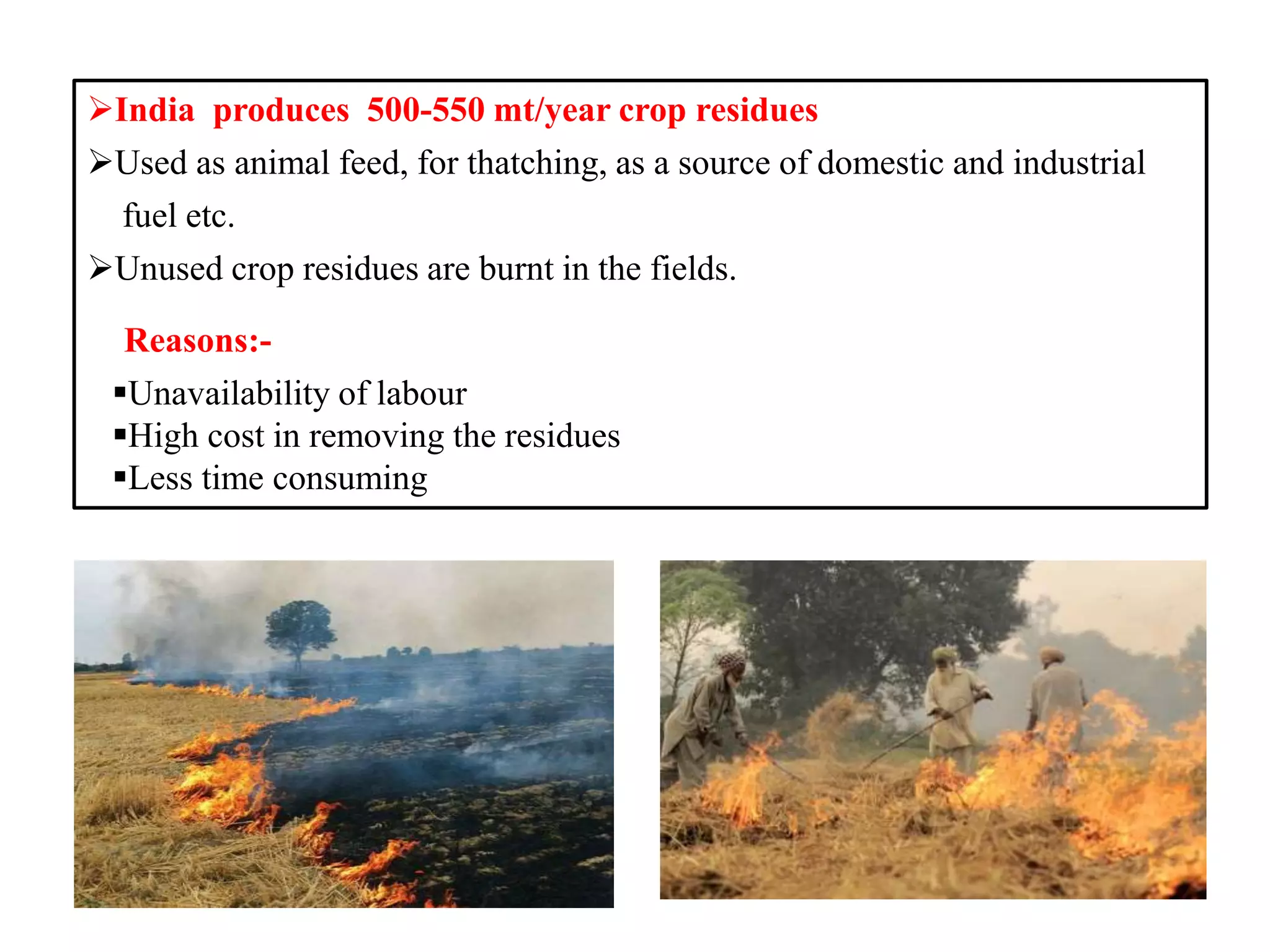 CROP RESIDUE MANAGEMENT IN Major cropping system.pptx