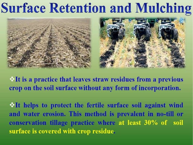 CROP RESIDUE MANAGEMENT IN Major cropping system.pptx