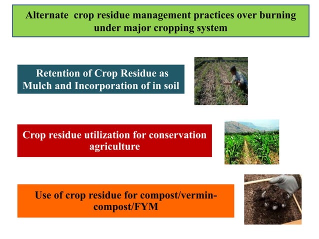 CROP RESIDUE MANAGEMENT IN Major cropping system.pptx