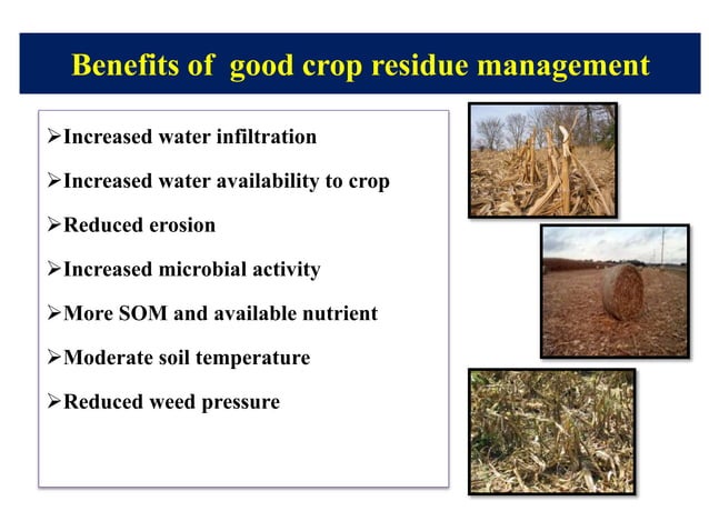 CROP RESIDUE MANAGEMENT IN Major cropping system.pptx