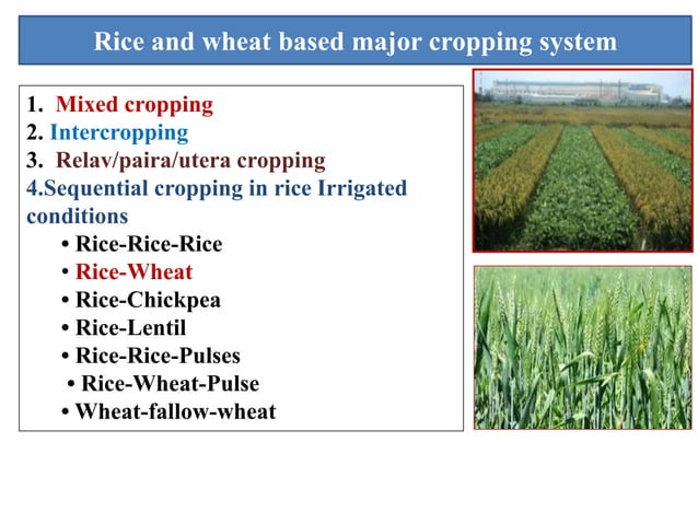 CROP RESIDUE MANAGEMENT IN Major cropping system.pptx