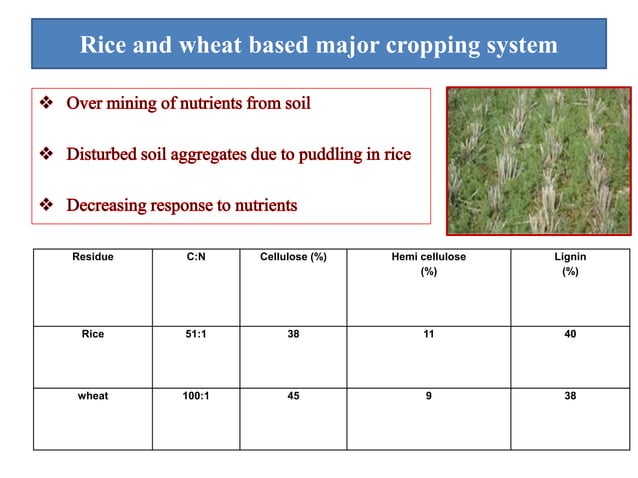 CROP RESIDUE MANAGEMENT IN Major cropping system.pptx