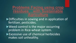 Crop Residues Challenges and Solutions | PPTX