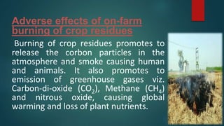 Crop Residues Challenges and Solutions | PPTX