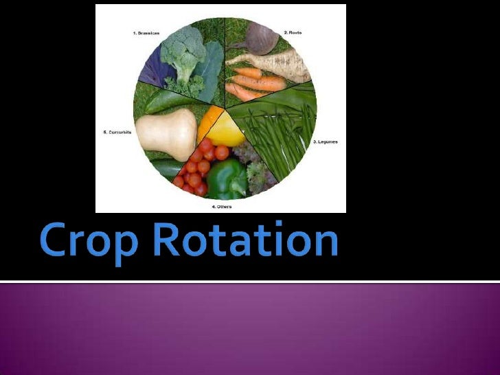 Crop Rotation Illustration