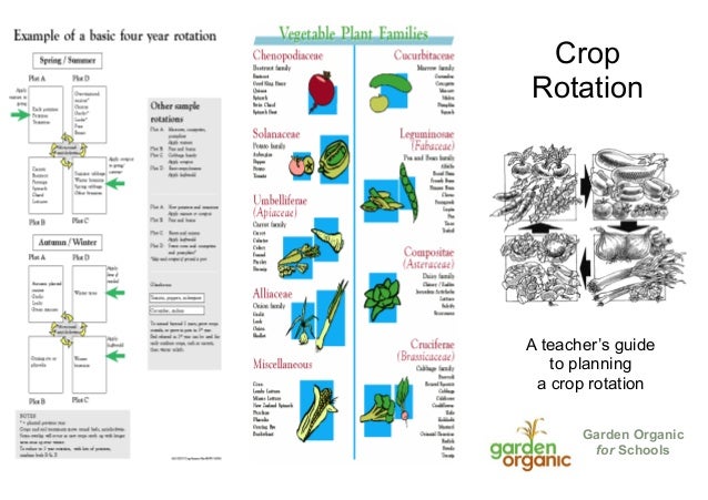 Crop Rotation ~ Teacher Guide, Organic Gardening