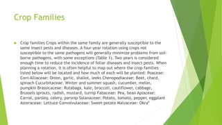 Crop rotation A Lecture By Mr Allah Dad Khan Visiting Professor the ...